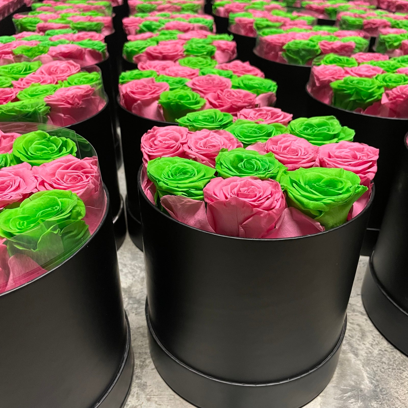 Phorever Pink and Green Roses